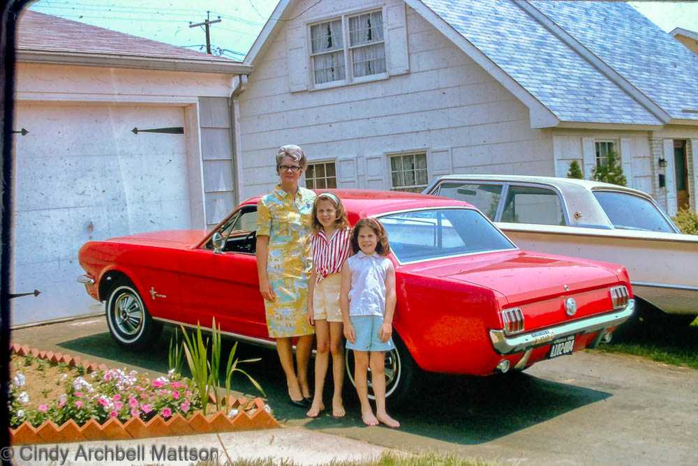 Midnight At The Oasis - A Little Bit of Faith and Photography