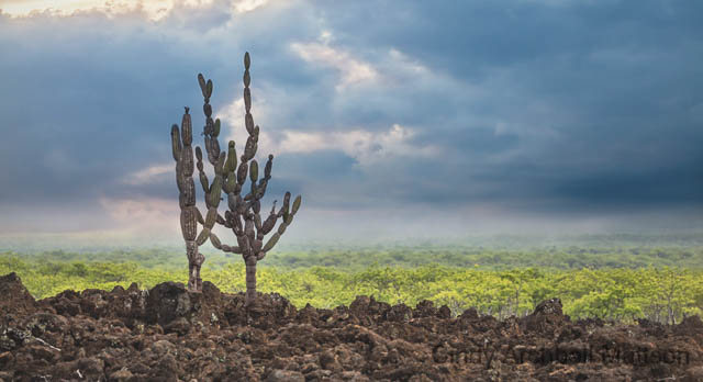 My photography! - A Little Bit of Faith and Photography