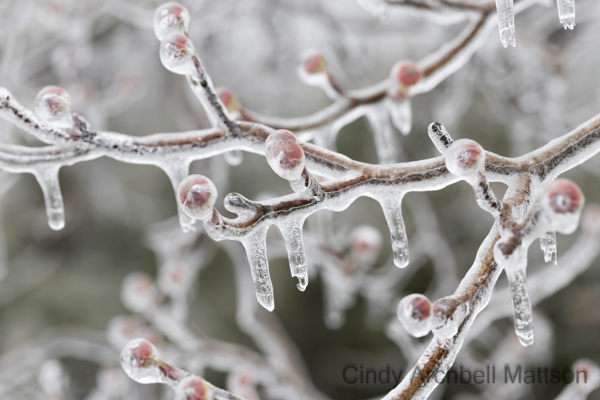 Steps to Christ - A Little Bit of Faith and Photography